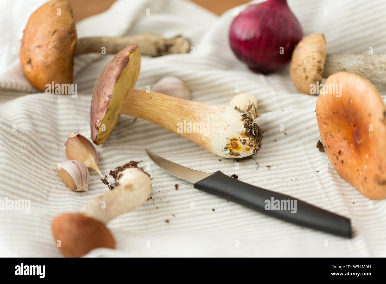 edible mushrooms, kitchen knife and towel Stock Photo - Alamy