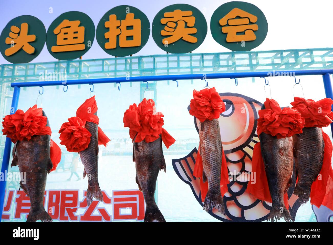 Catches are being auctioned during the winter fishing festival in ...