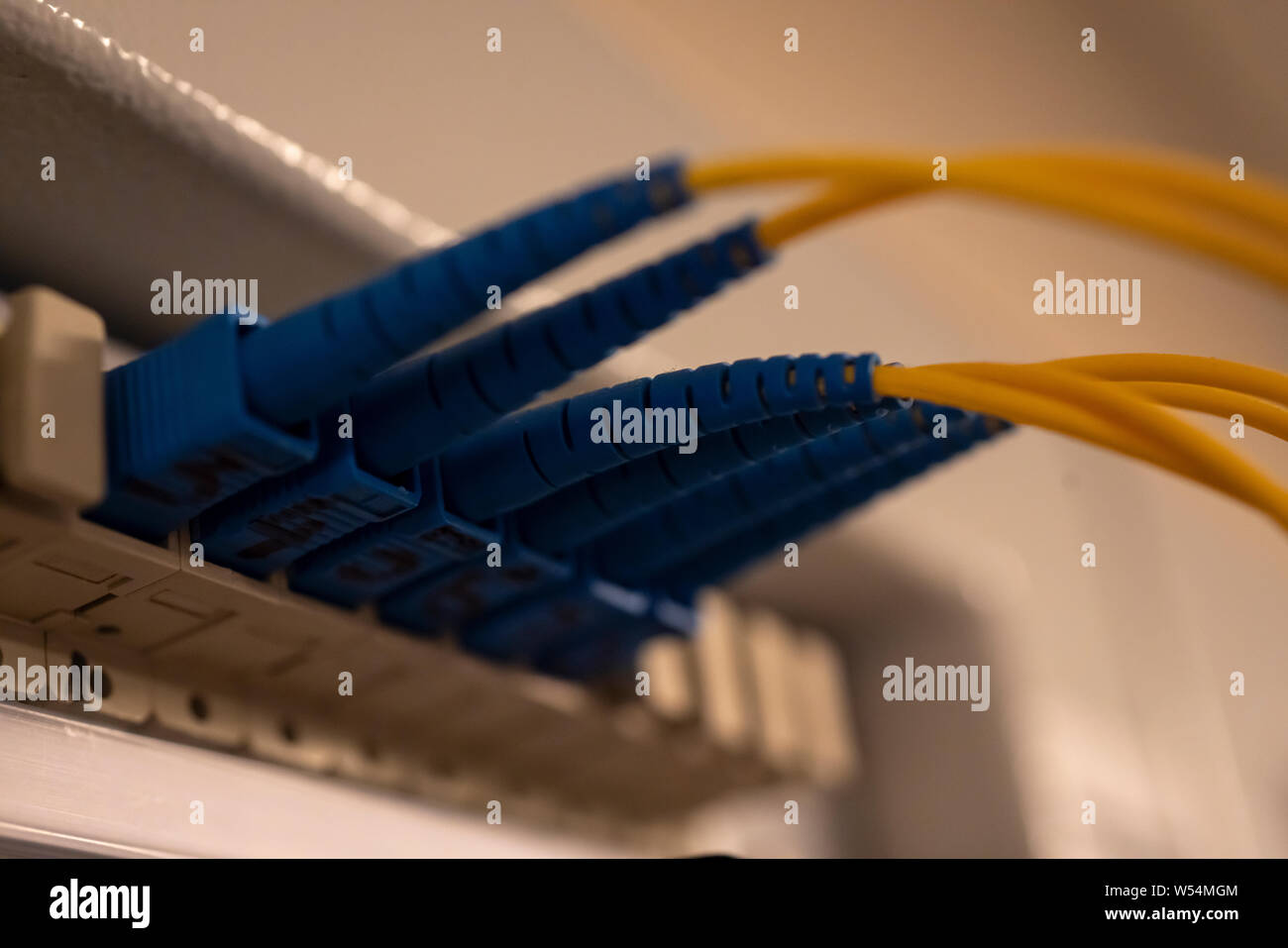 Optical distribution panel with connected patch cord cable Stock Photo ...