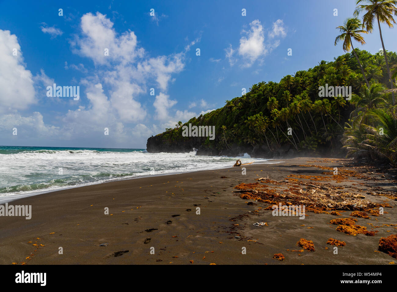 Saint Vincent and the Grenadines, Black point park Stock Photo - Alamy