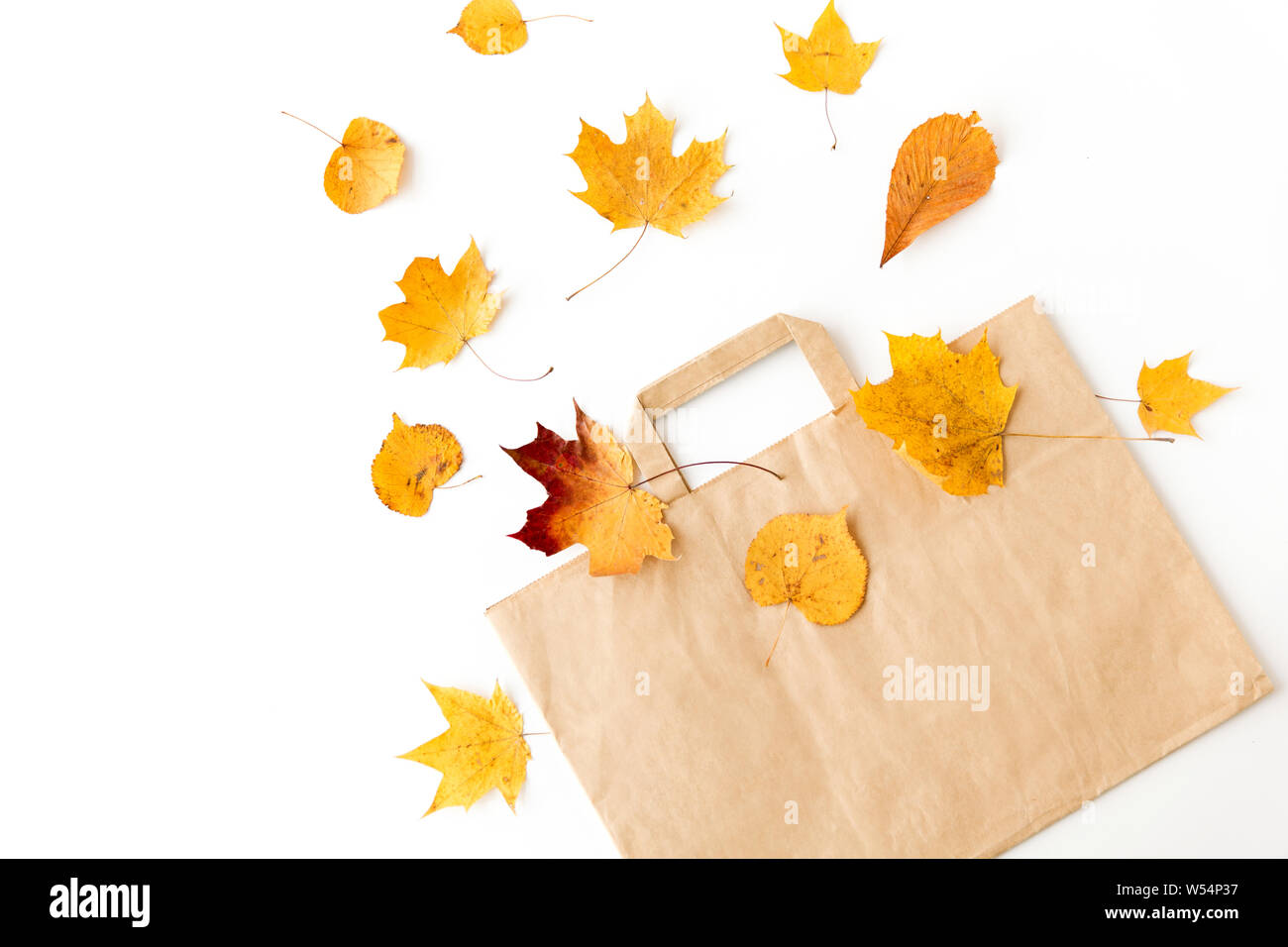autumn leaves and paper bag on white background Stock Photo - Alamy