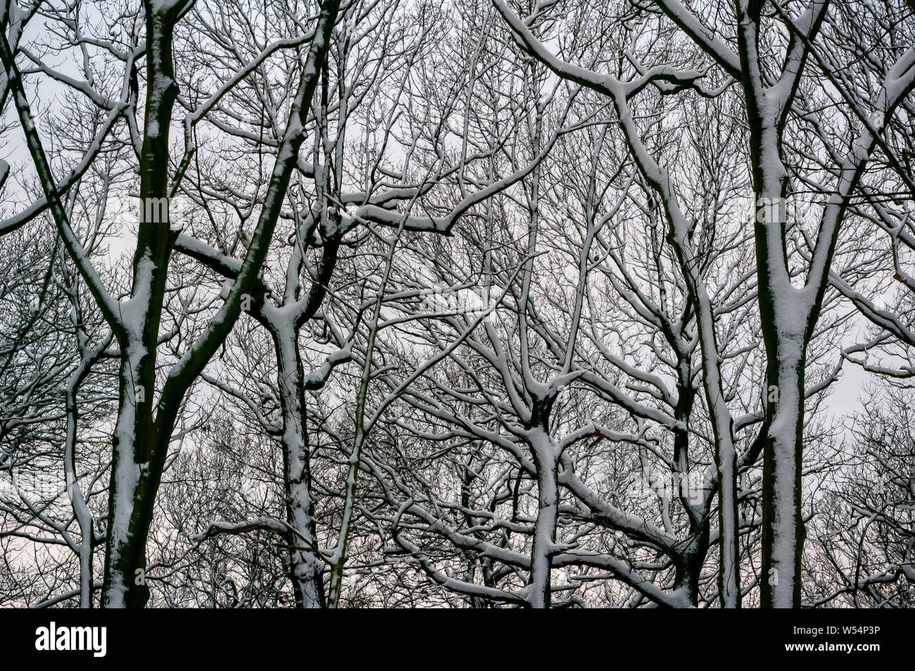 Graves park hi-res stock photography and images - Alamy