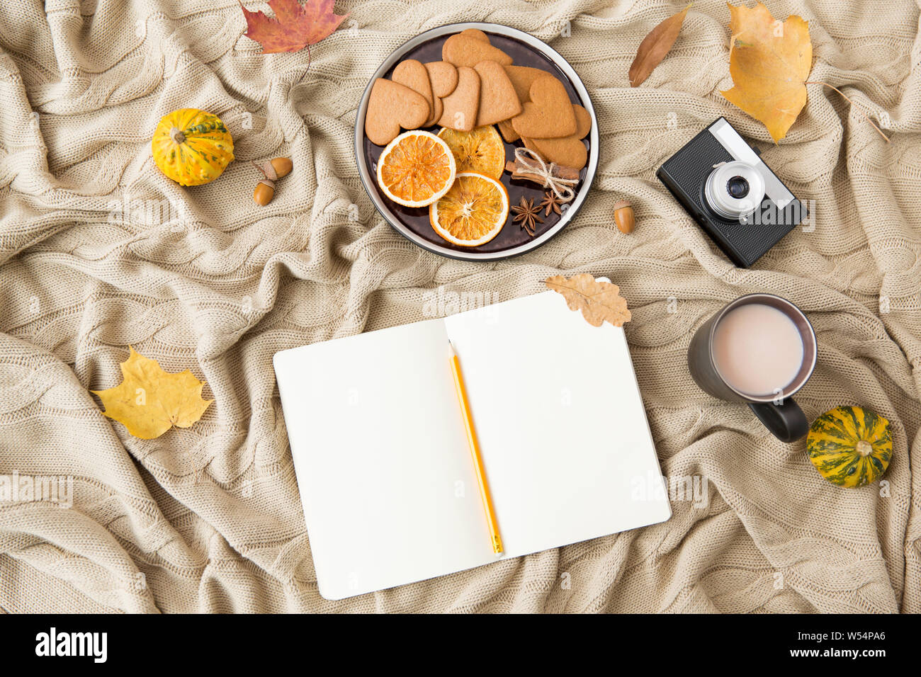 notebook, hot chocolate, camera and autumn leaves Stock Photo - Alamy