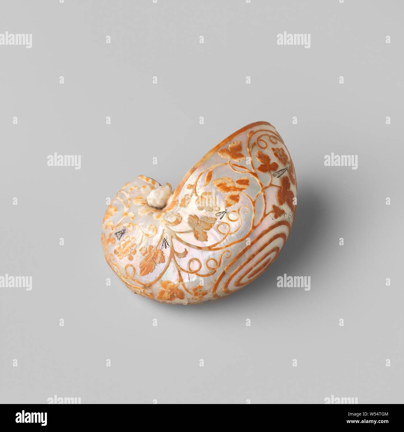 Concentric ovals hi-res stock photography and images - Alamy