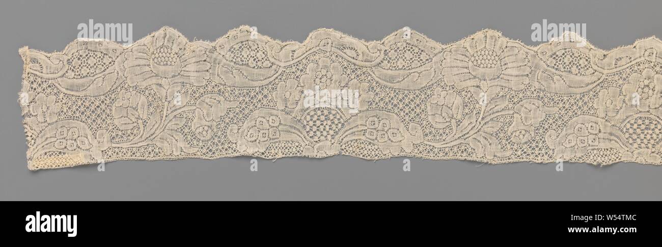 Wide volute leaves hi-res stock photography and images - Alamy