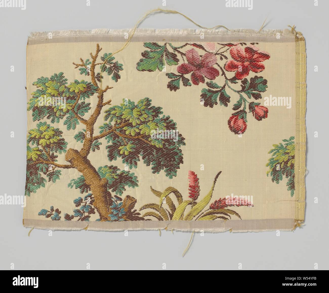 Lemon tree flowers hi-res stock photography and images - Alamy