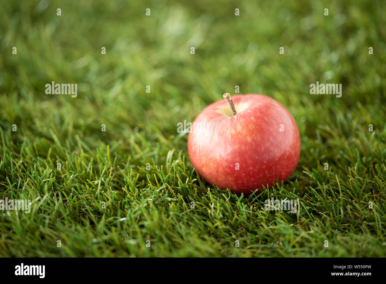 Artificial grass food hi-res stock photography and images - Alamy
