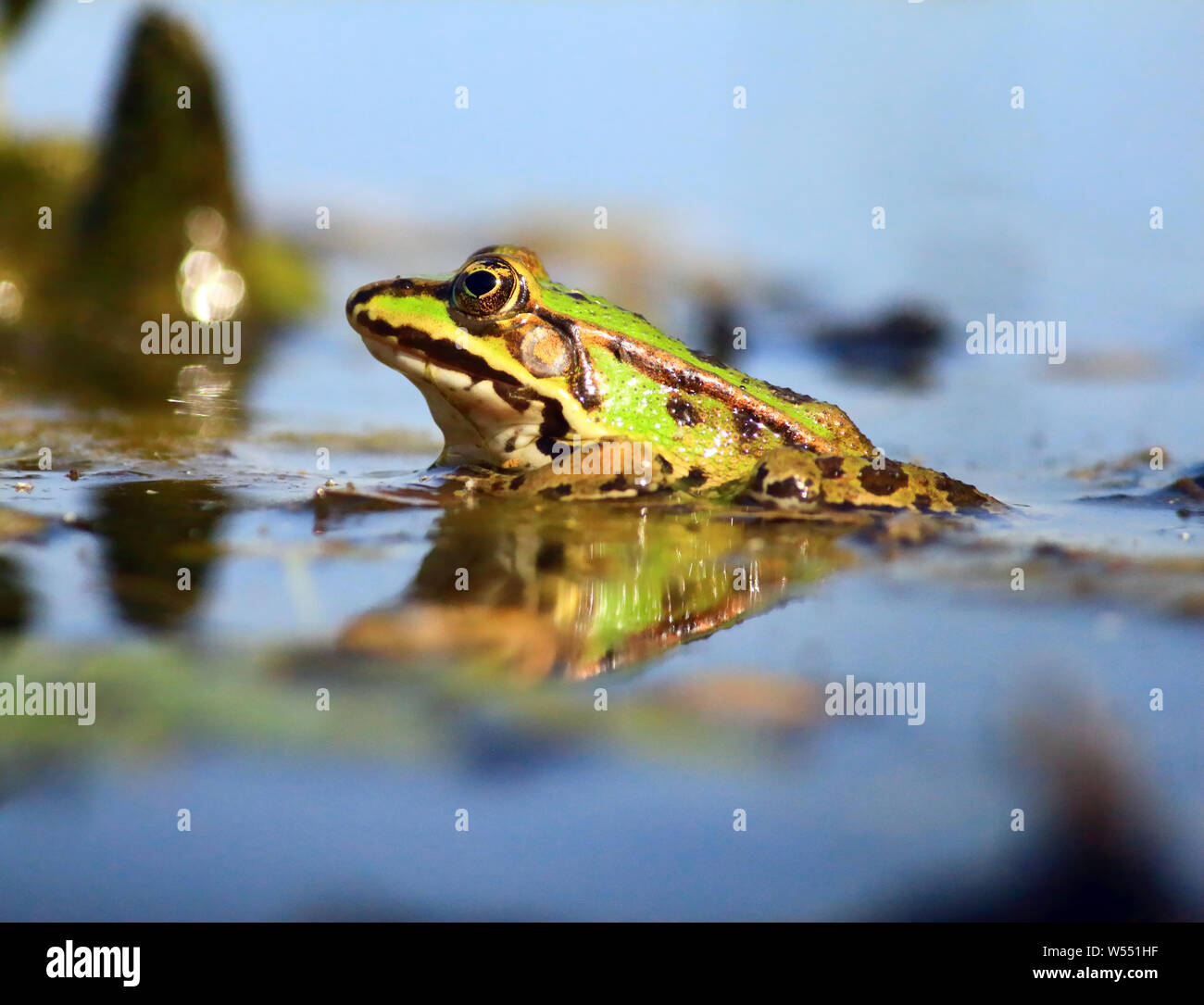 @lakelife hi-res stock photography and images - Alamy