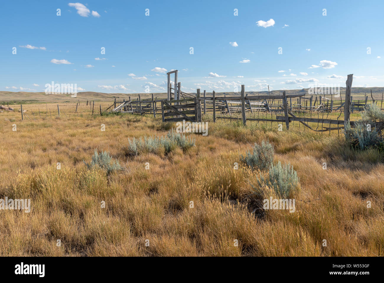 Grasslands Canada Ranch High Resolution Stock Photography and Images ...