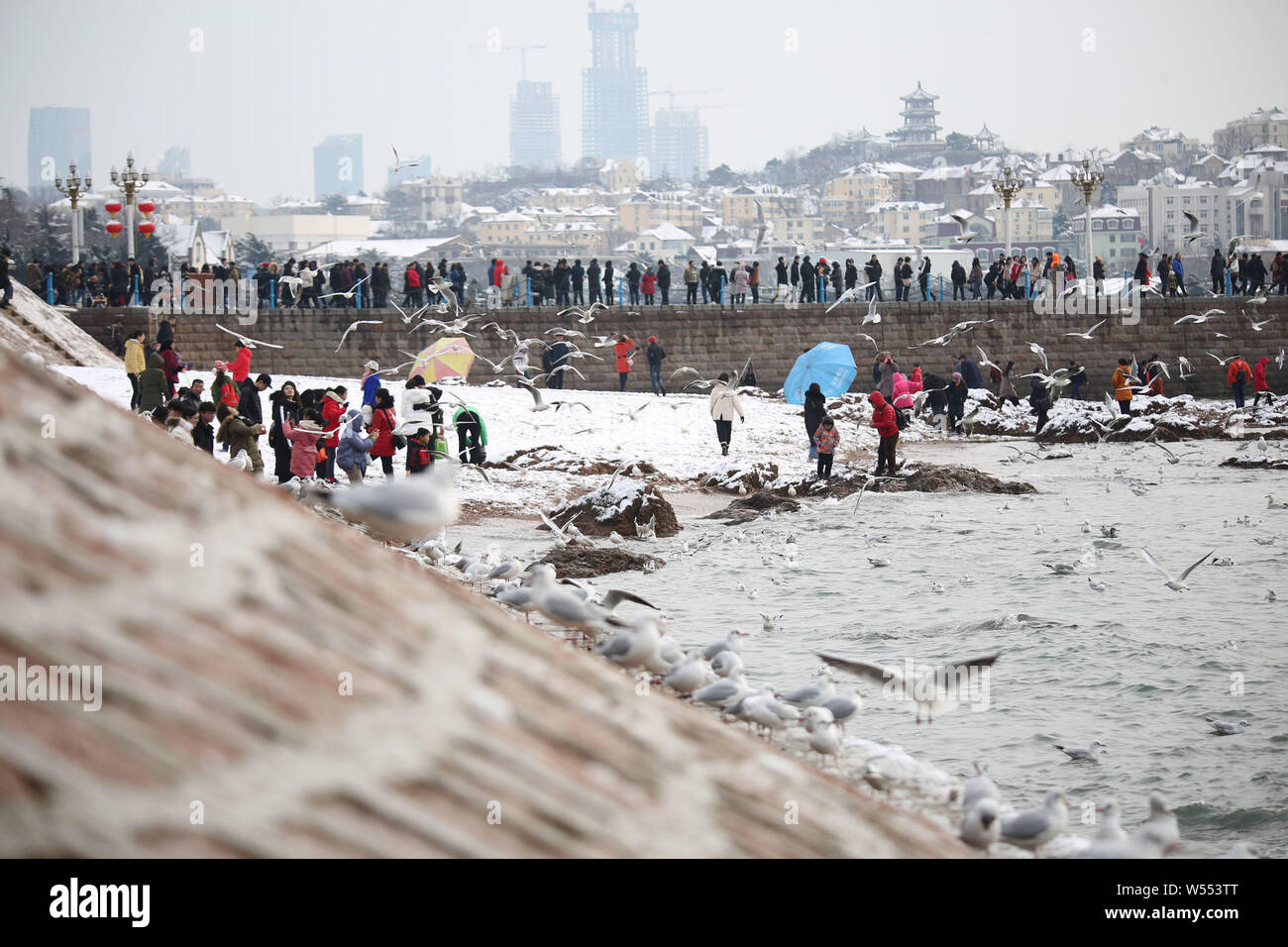 Gulls fly over the Zhanqiao Pier in the snow in Qingdao city, east ...