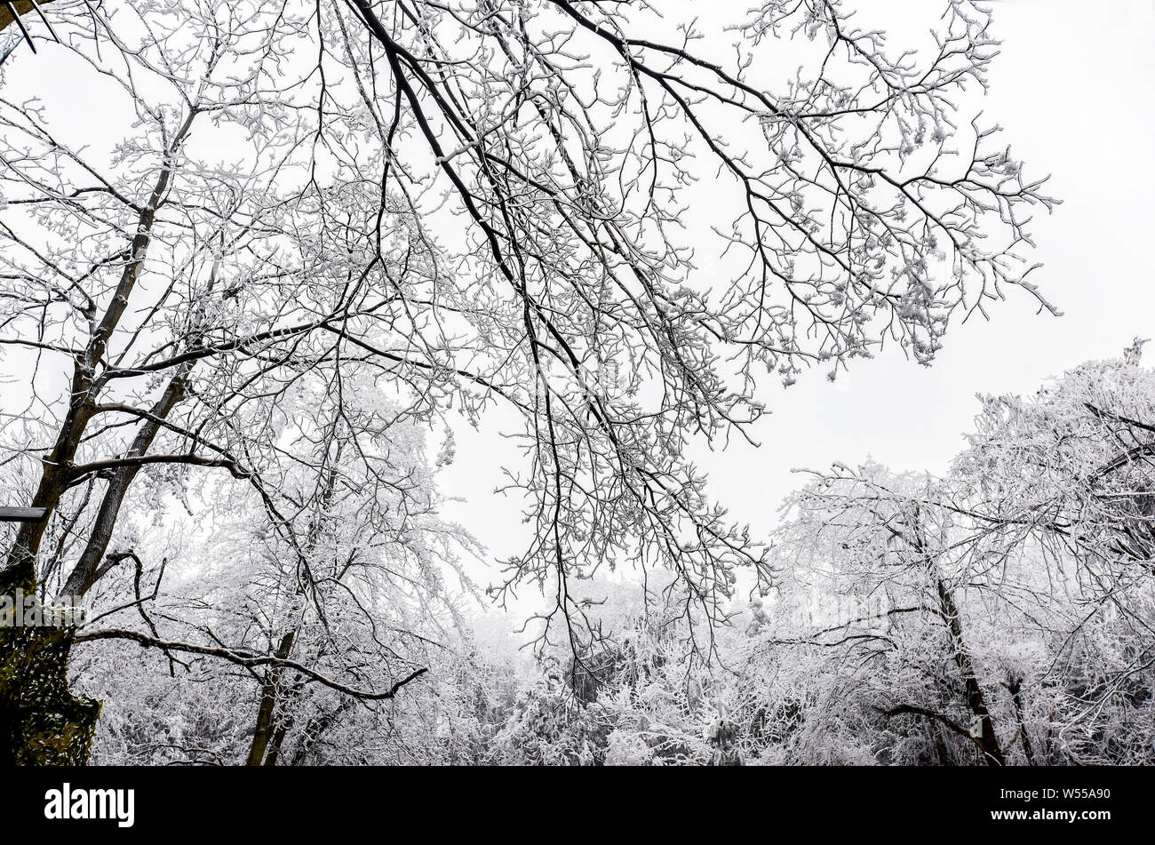 Landscape of the Xianren Bridge at snow-covered Wulingyuan Scenic and ...
