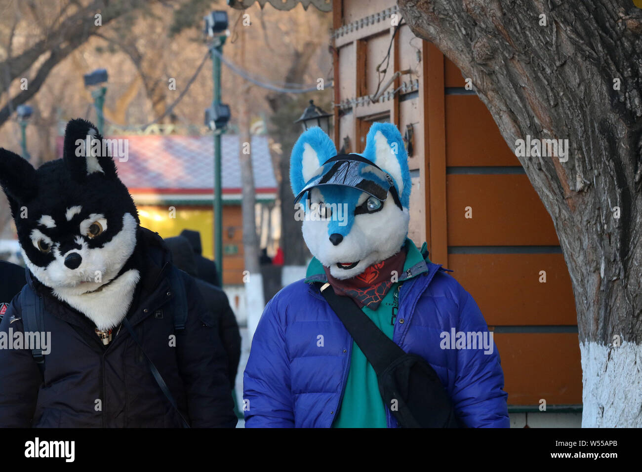 Animal shaped hats hi-res stock photography and images - Alamy