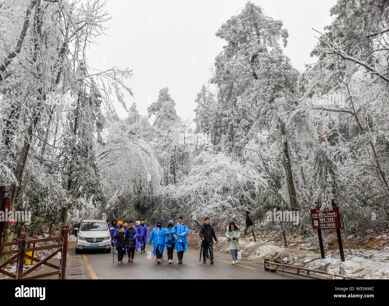 Tourists visit the Xianren Bridge at snow-covered Wulingyuan Scenic and ...