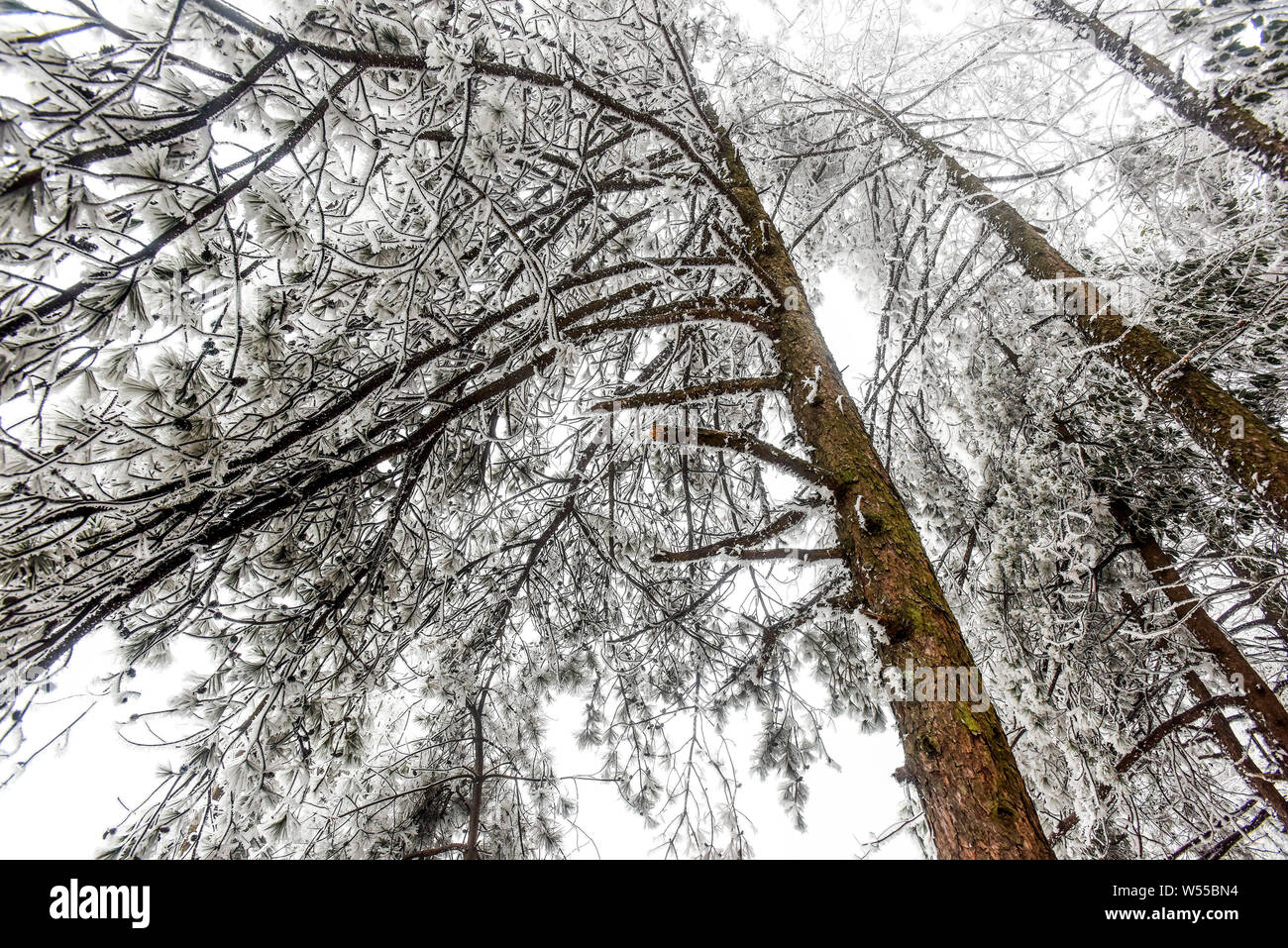 Xianren bridge hi-res stock photography and images - Alamy