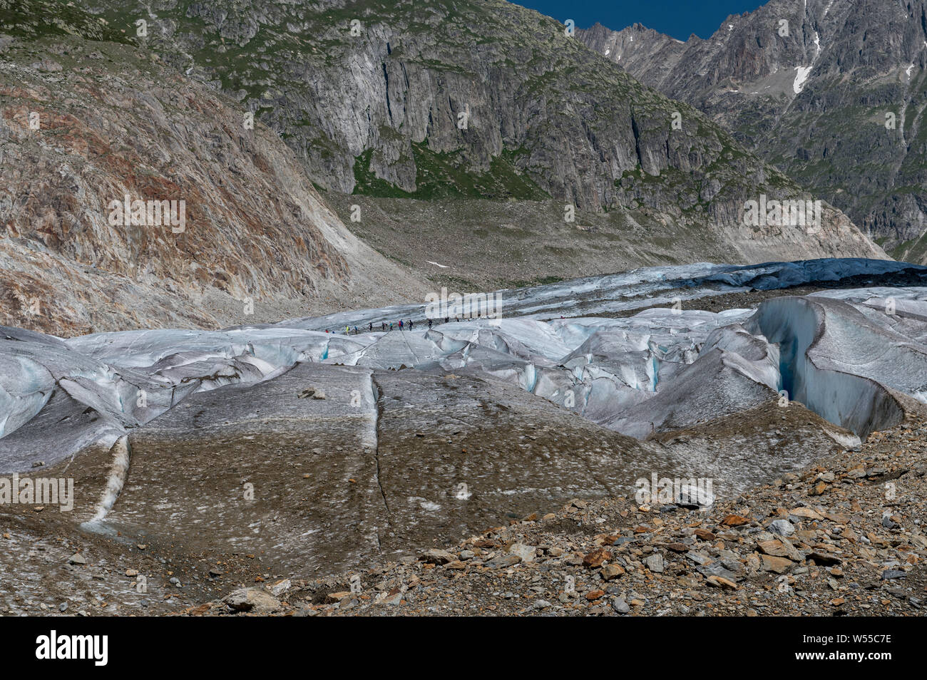 group of people on the ice of the mighty Aletschgletscher Stock Photo ...