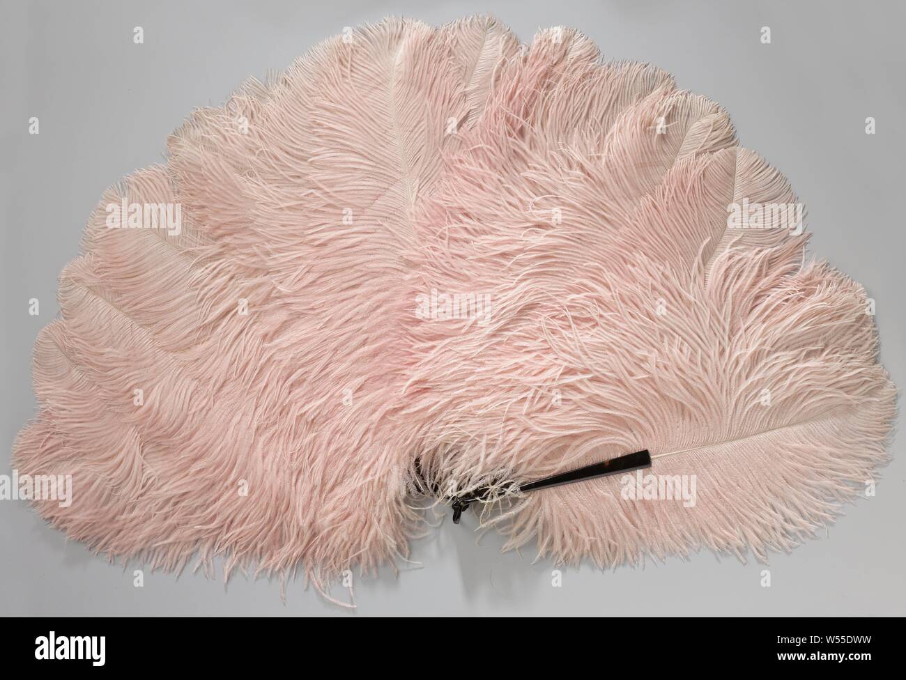 Plastic turtle frame hi-res stock photography and images - Alamy