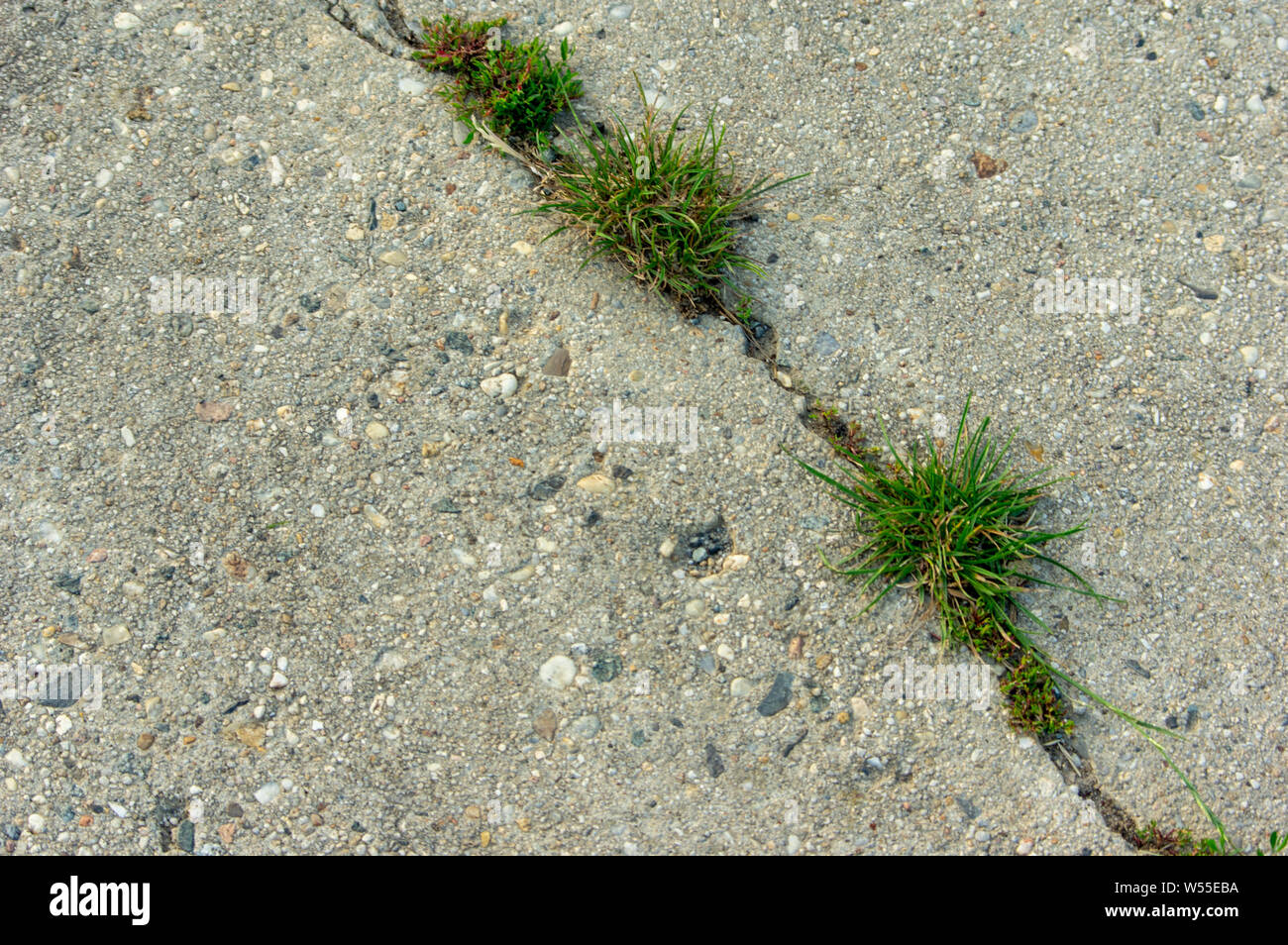Cracked stone floor hi-res stock photography and images - Alamy