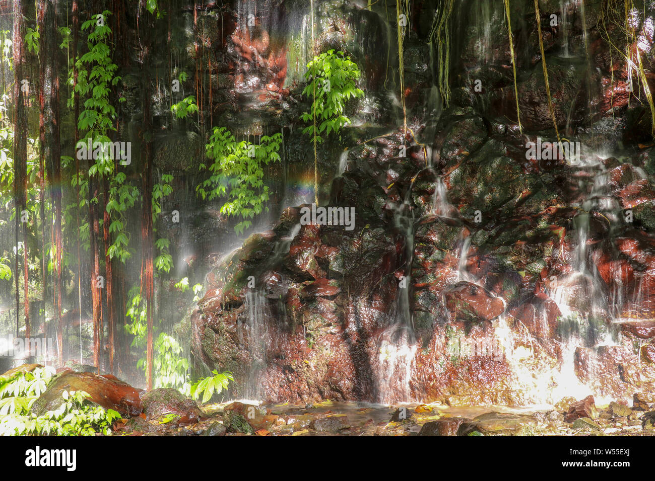 Rock wall overgrown with lush tropical vegetation. A waterfall running ...