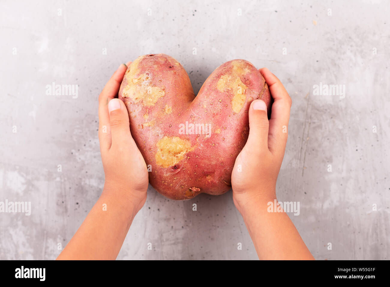 Ugly potato in the heart shape on a gray background. Funny, unnormal ...