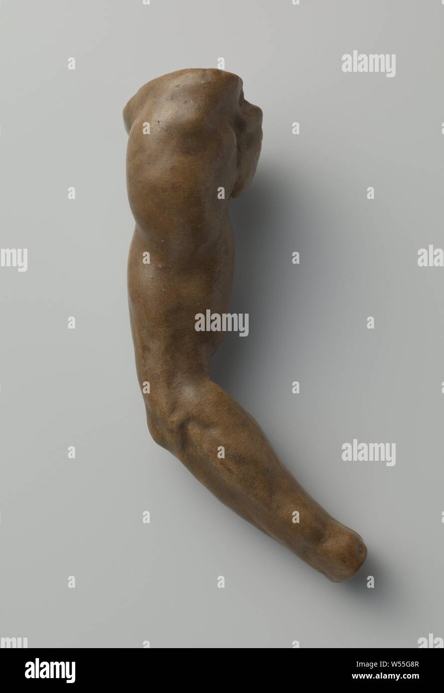 Study Models or Parts of the Body Nine models or parts of the body ...