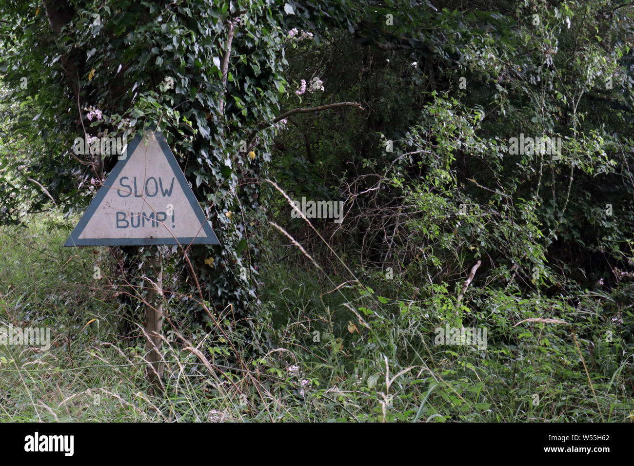 Roadside sign warning of bump in road Stock Photo - Alamy