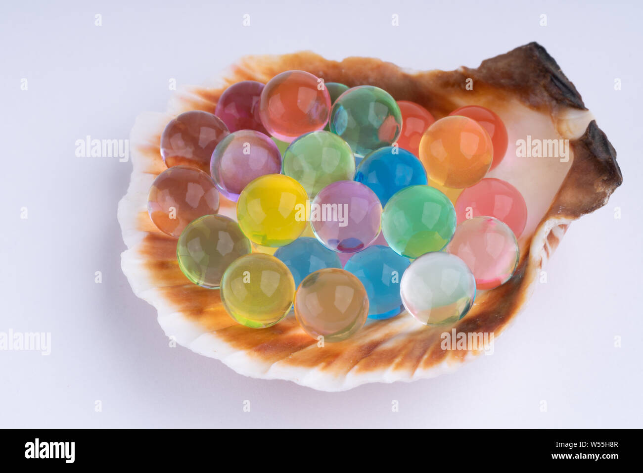 Sea shell with multicolored hydrogel balls Stock Photo - Alamy