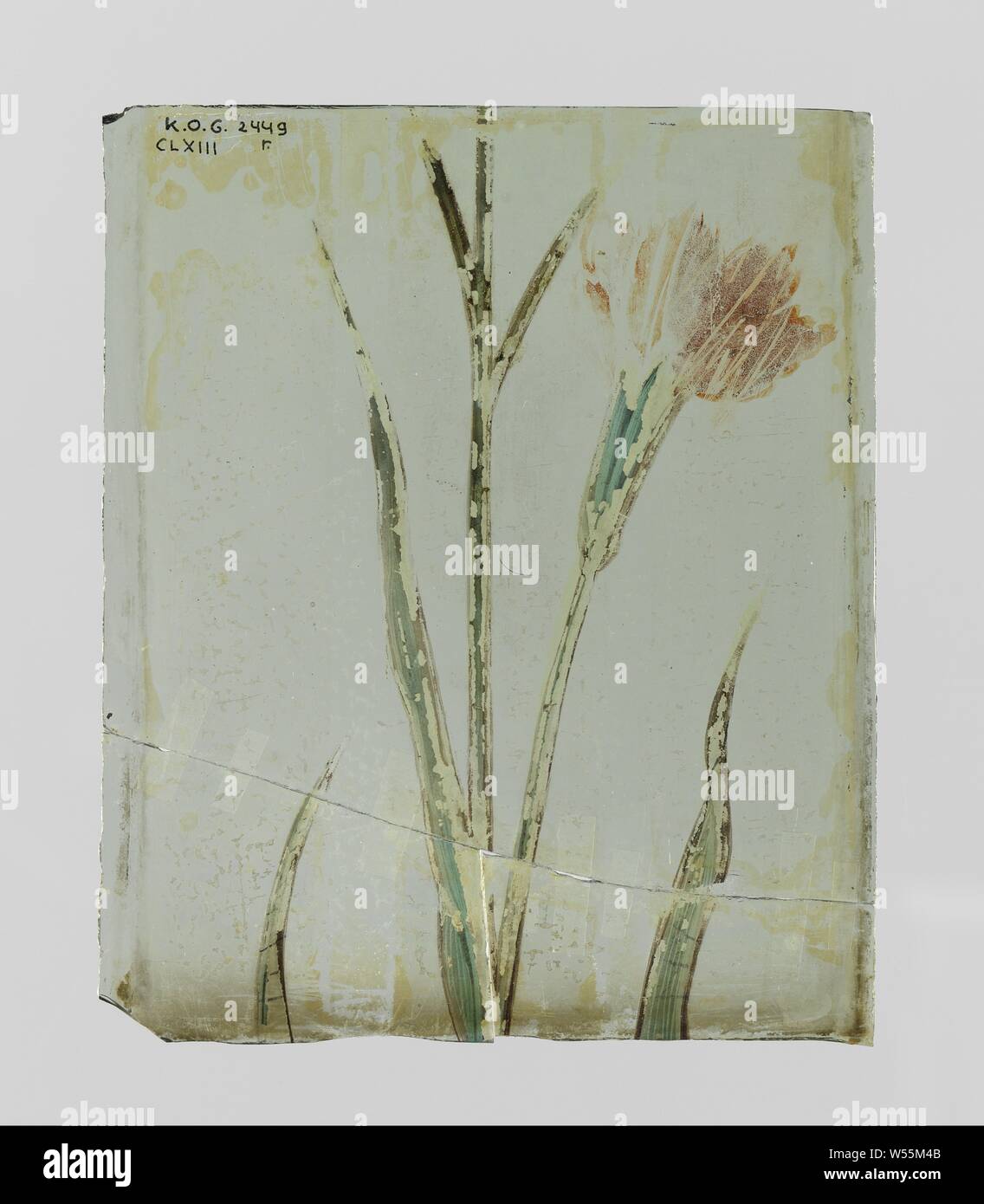 Red and white flower painting hi-res stock photography and images - Alamy