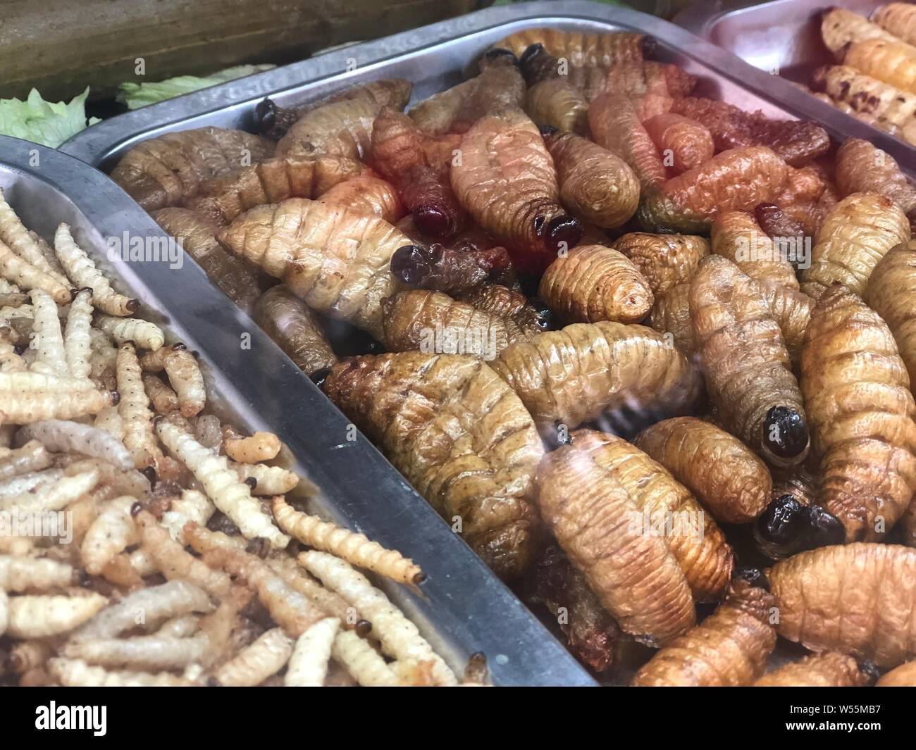 Deep Fried Insects High Resolution Stock Photography and Images - Alamy