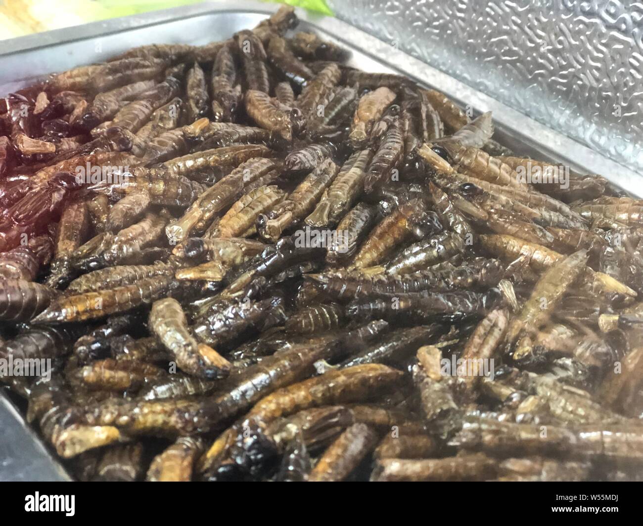 Deep Fried Insects High Resolution Stock Photography and Images - Alamy