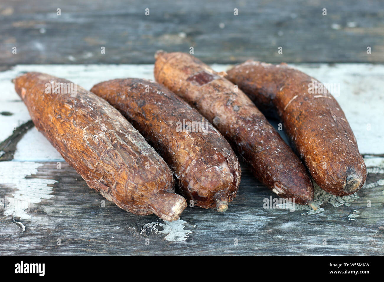 Yucca root hi-res stock photography and images - Alamy