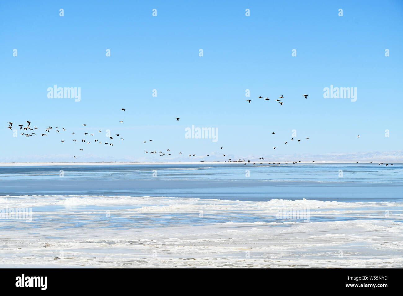 --FILE--Scenery of the Qinghai Lake, China's largest inland saltwater ...