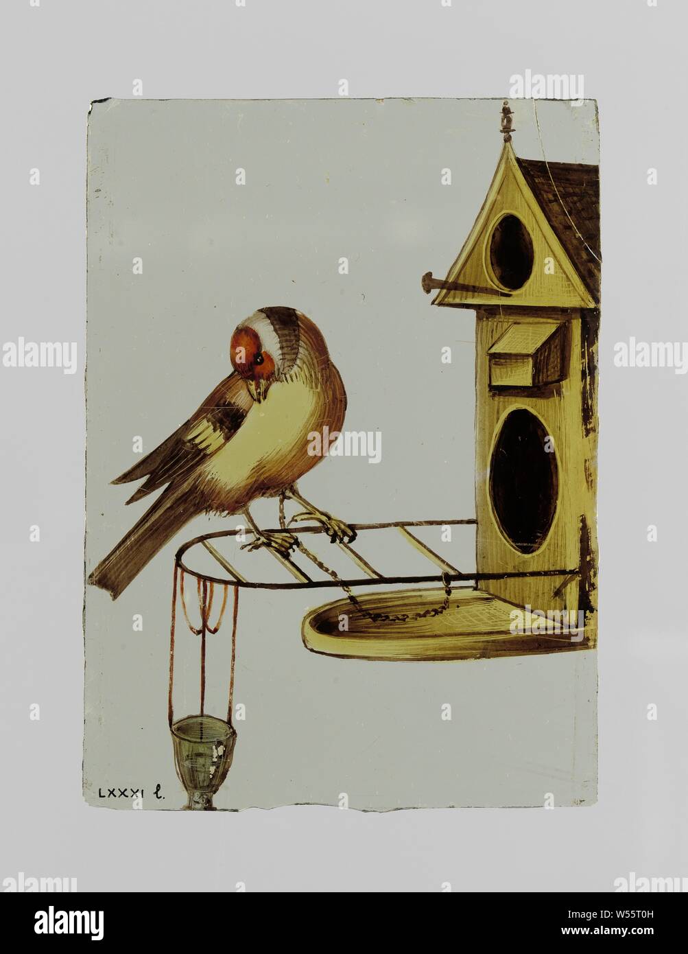 Chained bird hi-res stock photography and images - Alamy