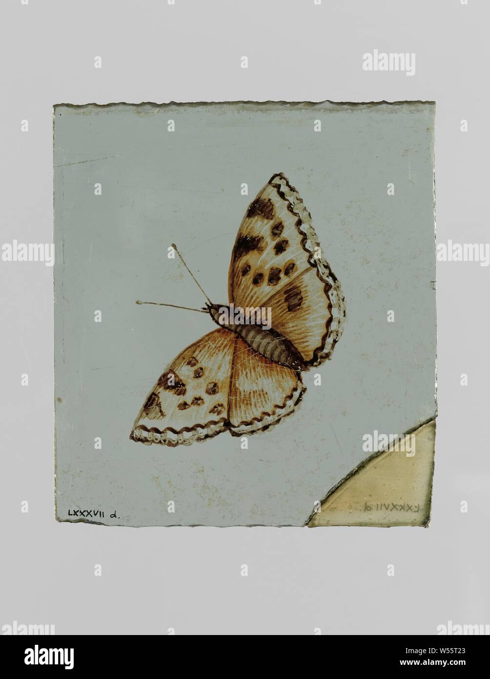 Grisaille enamel hi-res stock photography and images - Alamy