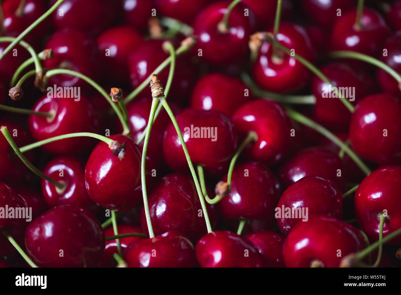 Cherry fruits with leaves hi-res stock photography and images - Alamy
