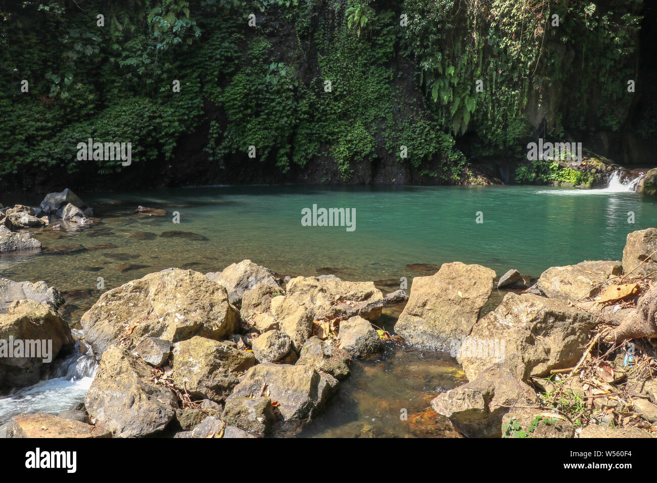 Jungle Landscape With Flowing Turquoise Water Of Blue Lagoon Cascade