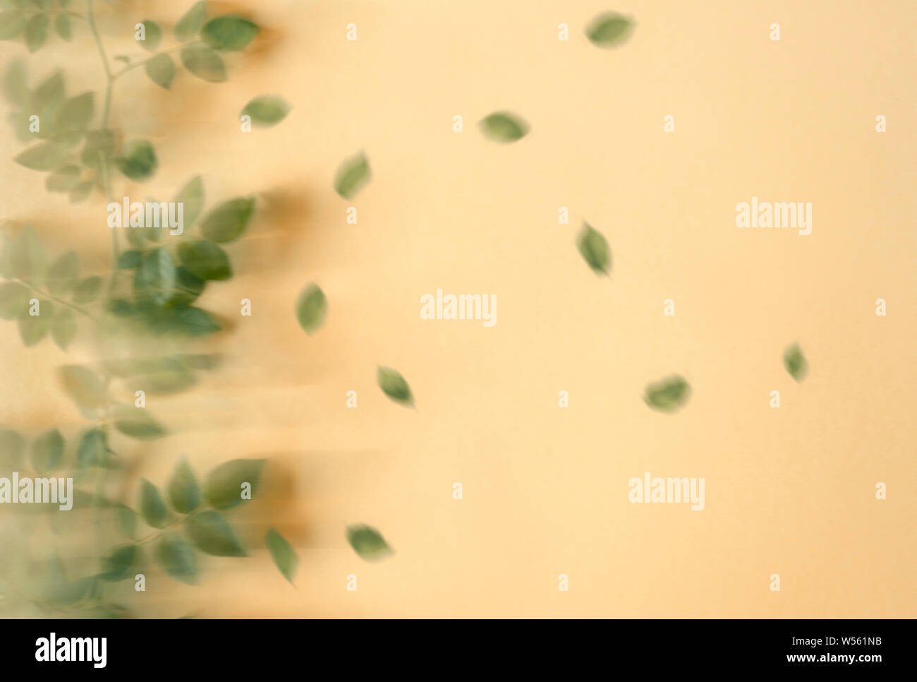 Falling leaves motion hi-res stock photography and images - Alamy