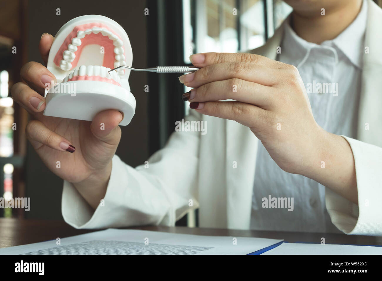 The dentist has shown the use of dental tools with samples tooth model ...