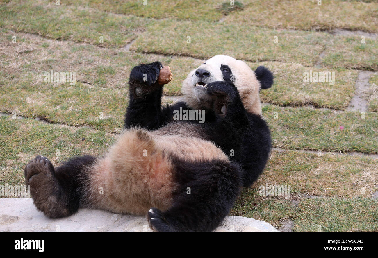 Xinghui hi-res stock photography and images - Alamy