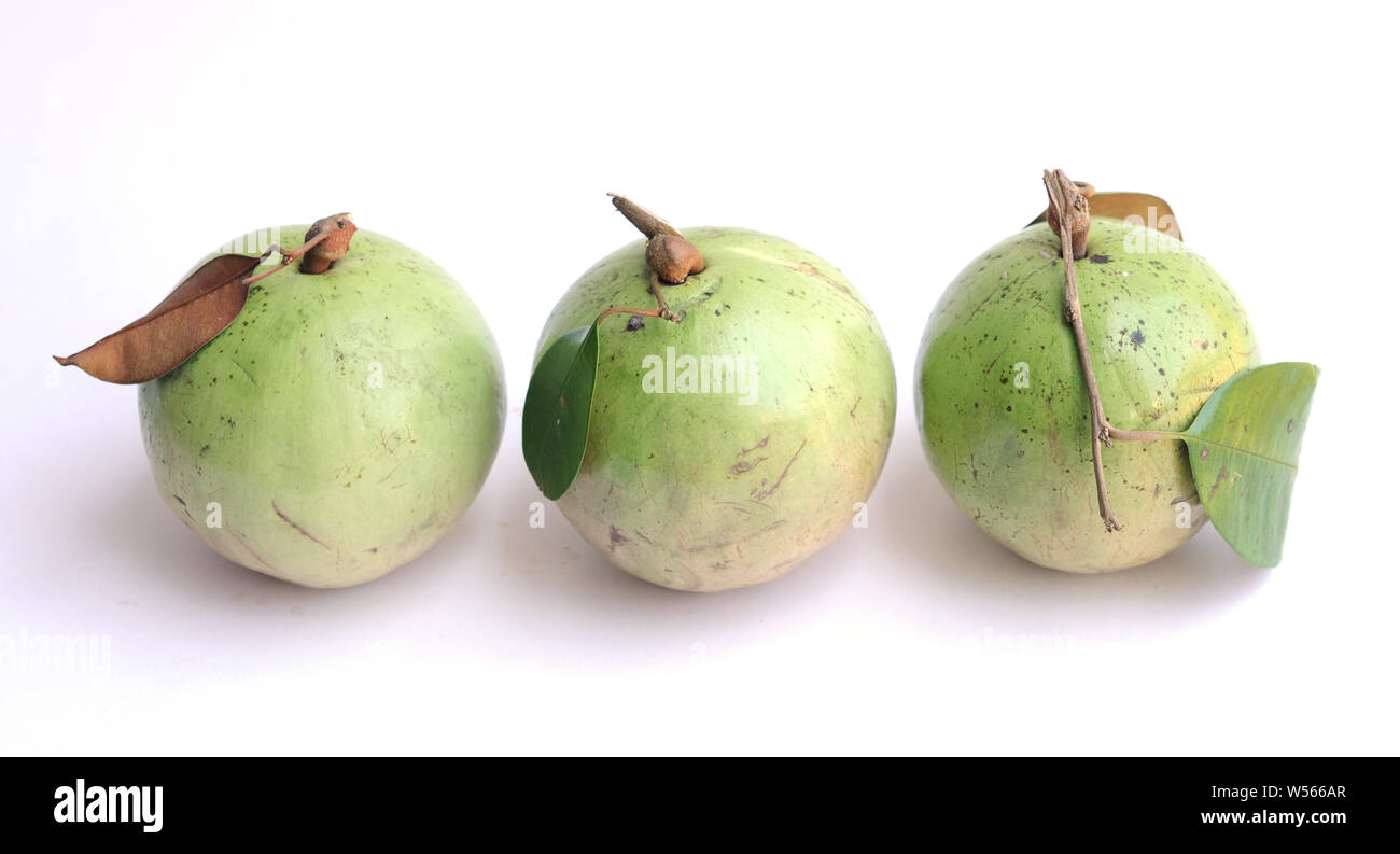 Three ripe star apples with leaves Stock Photo - Alamy