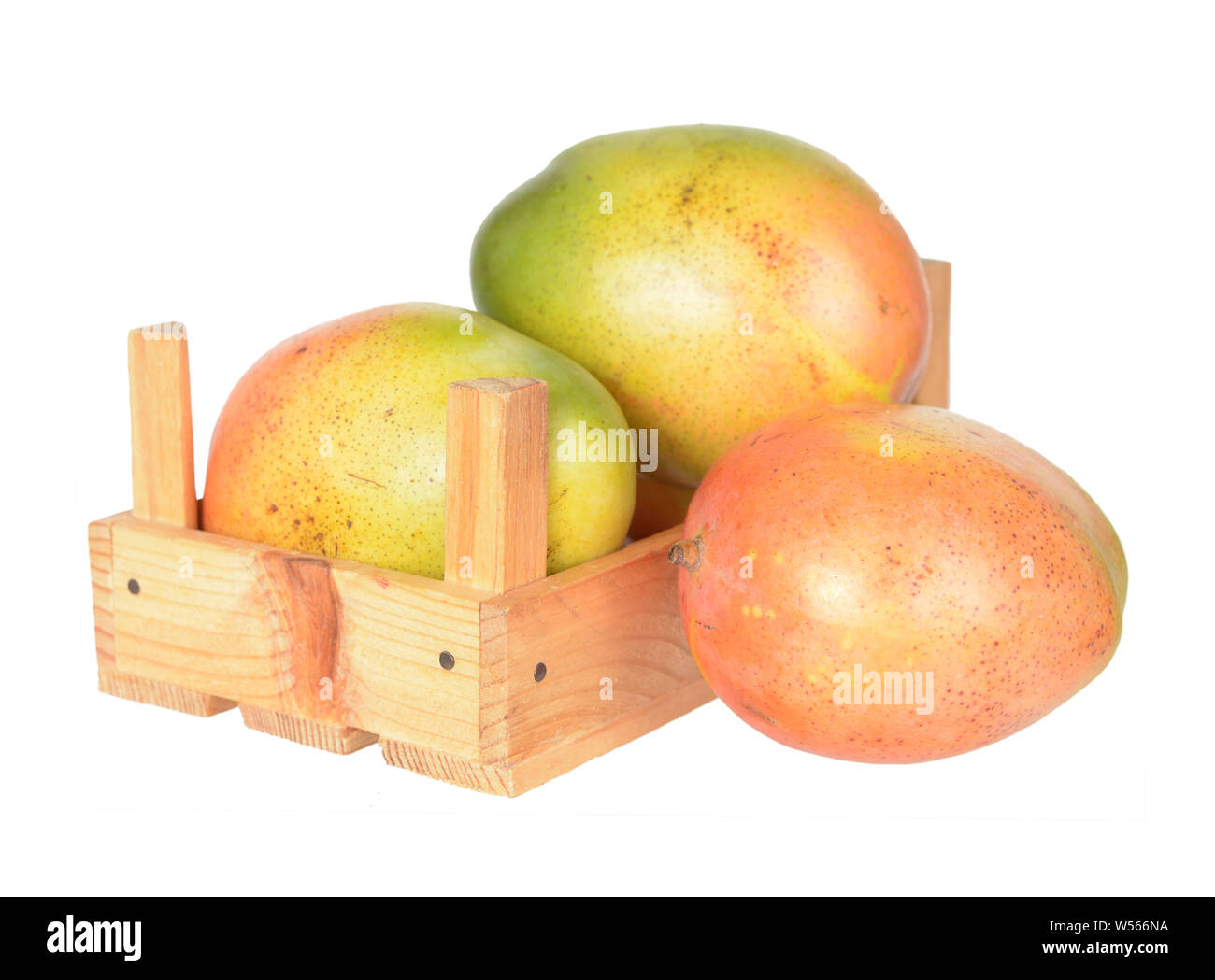 Three ripe mangoes in crate isolated on white Stock Photo - Alamy