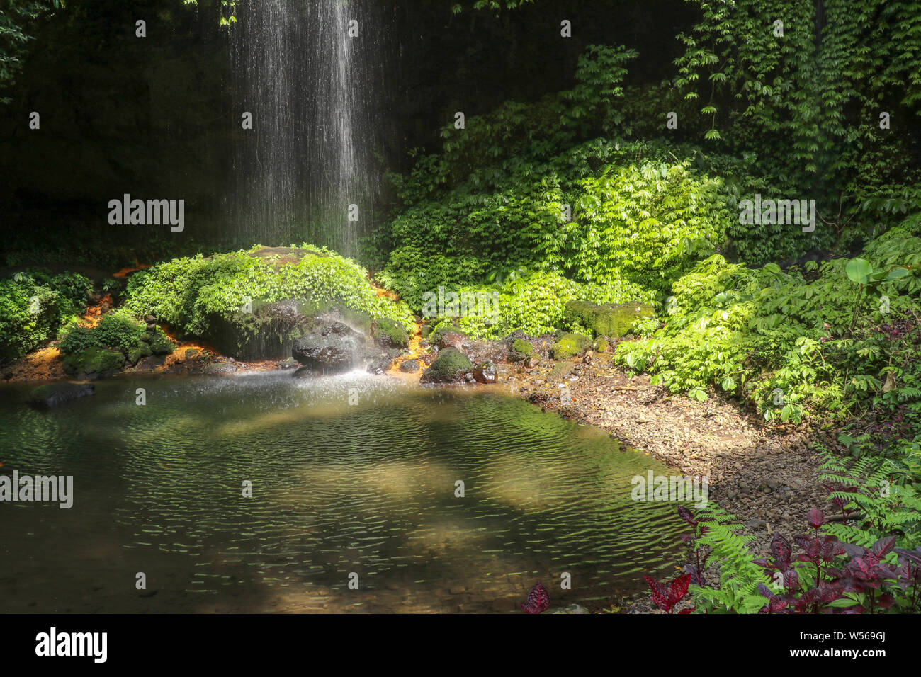 Reflection of the sun with waterfall in a small pond. Waterfall emerald ...