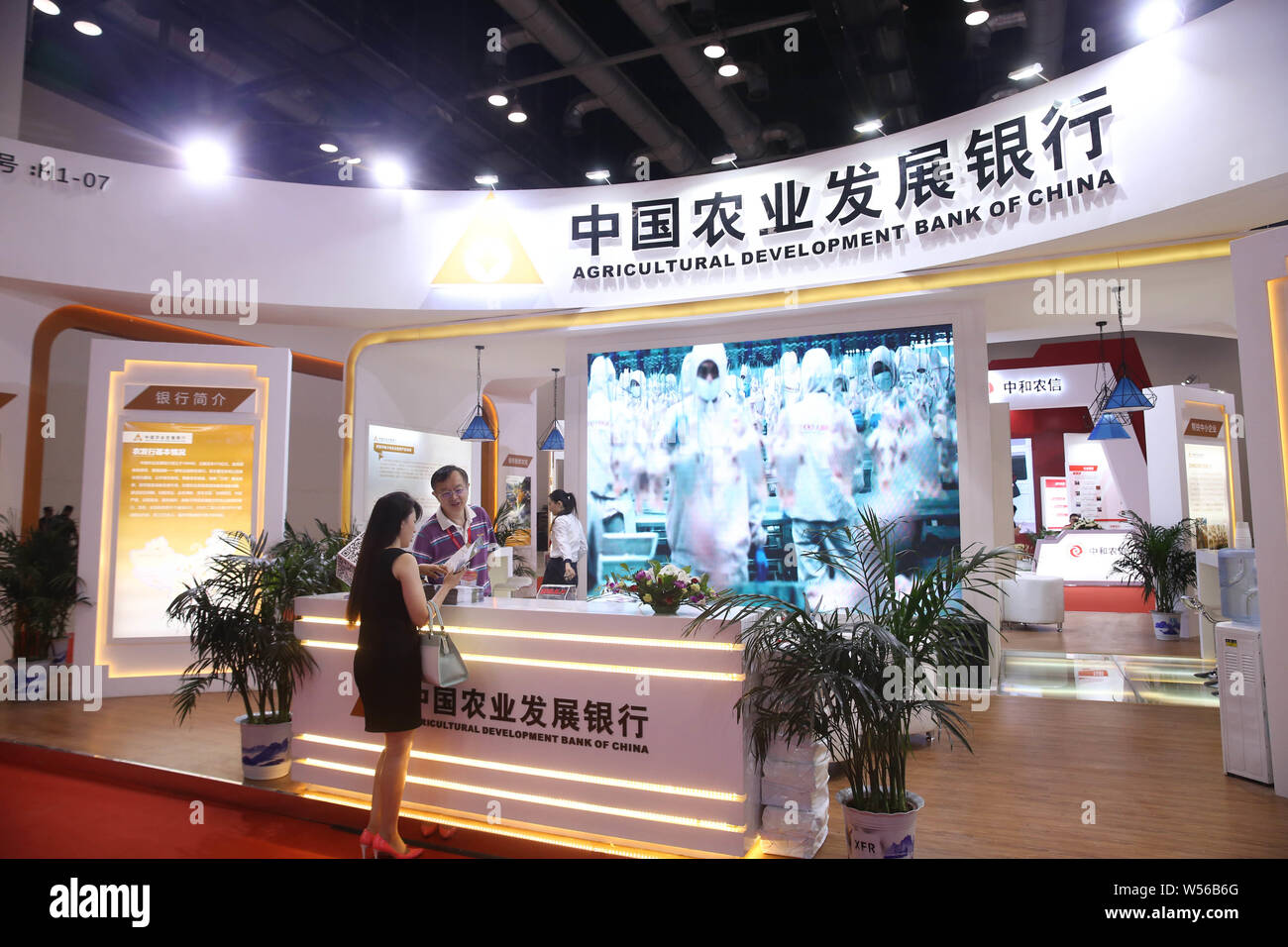 --FILE--People visit the stand of Agricultural Development Bank of ...
