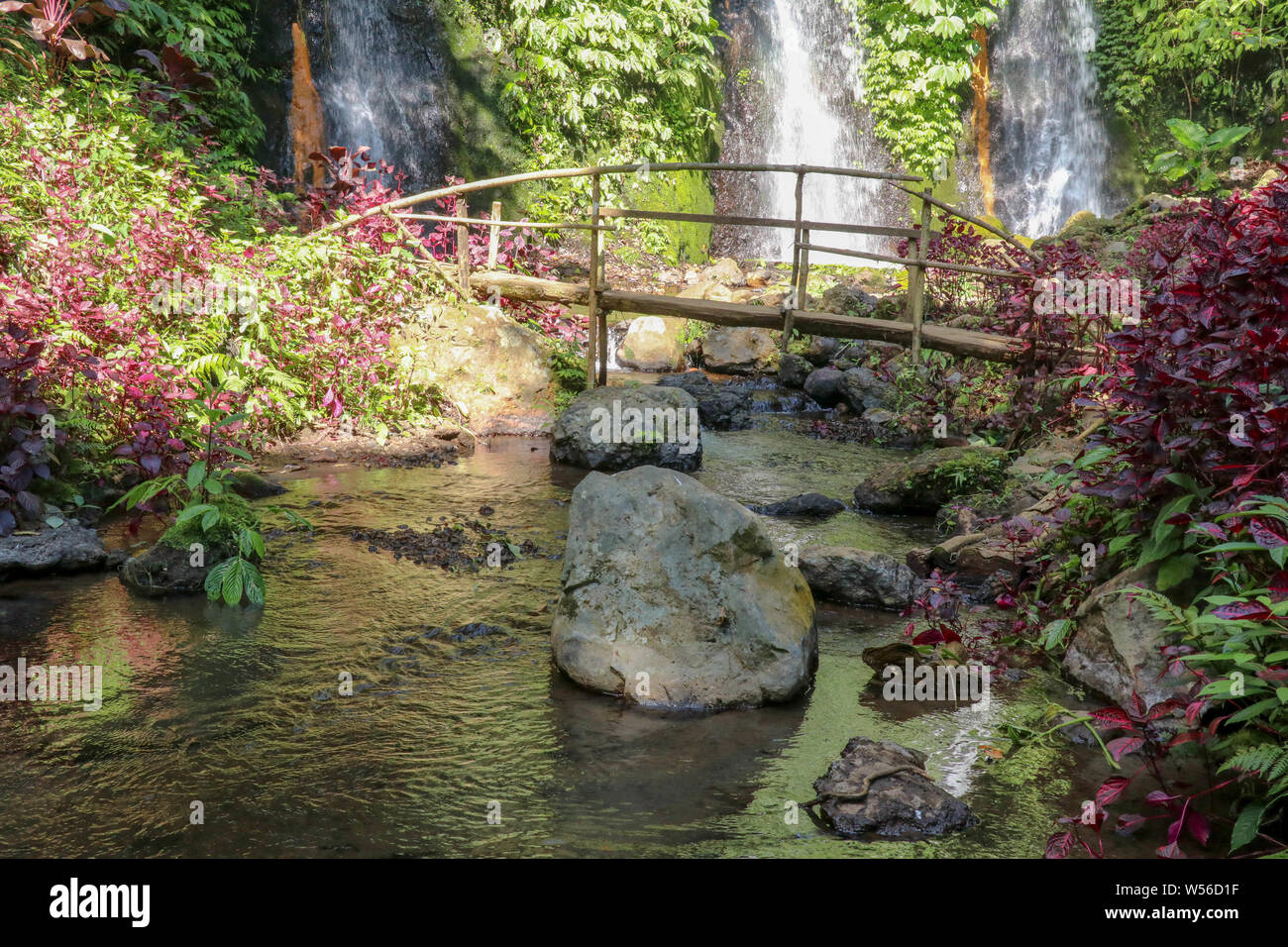 The bamboo bridge in waterfall. Wooden bridge on the way to Two ...