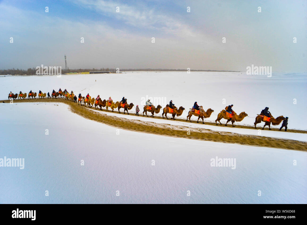 Gobi desert camels hi-res stock photography and images - Alamy