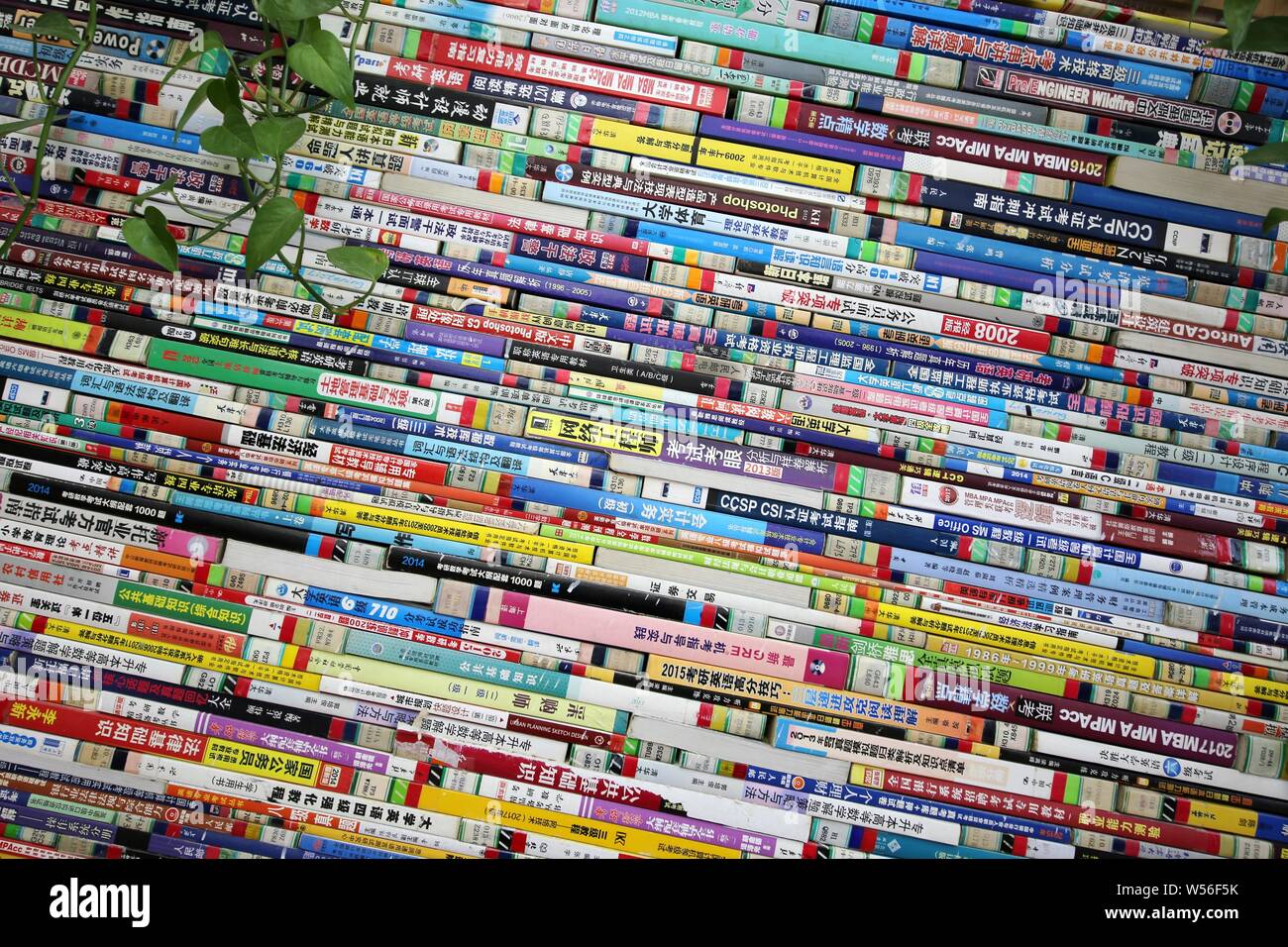 Thousands of old books are placed to create the "walls" at the library ...