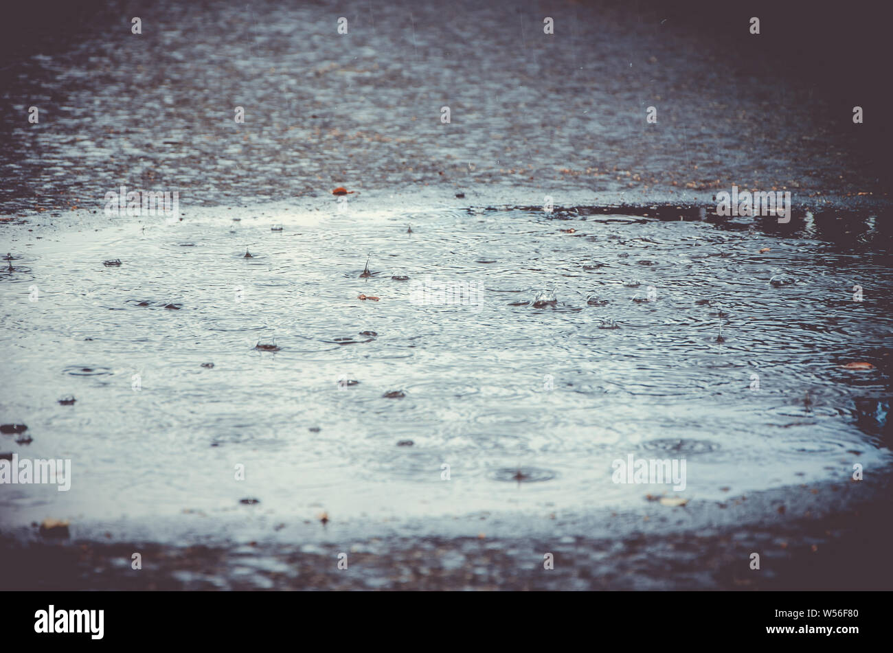 texture background circles from raindrops on puddle Stock Photo - Alamy