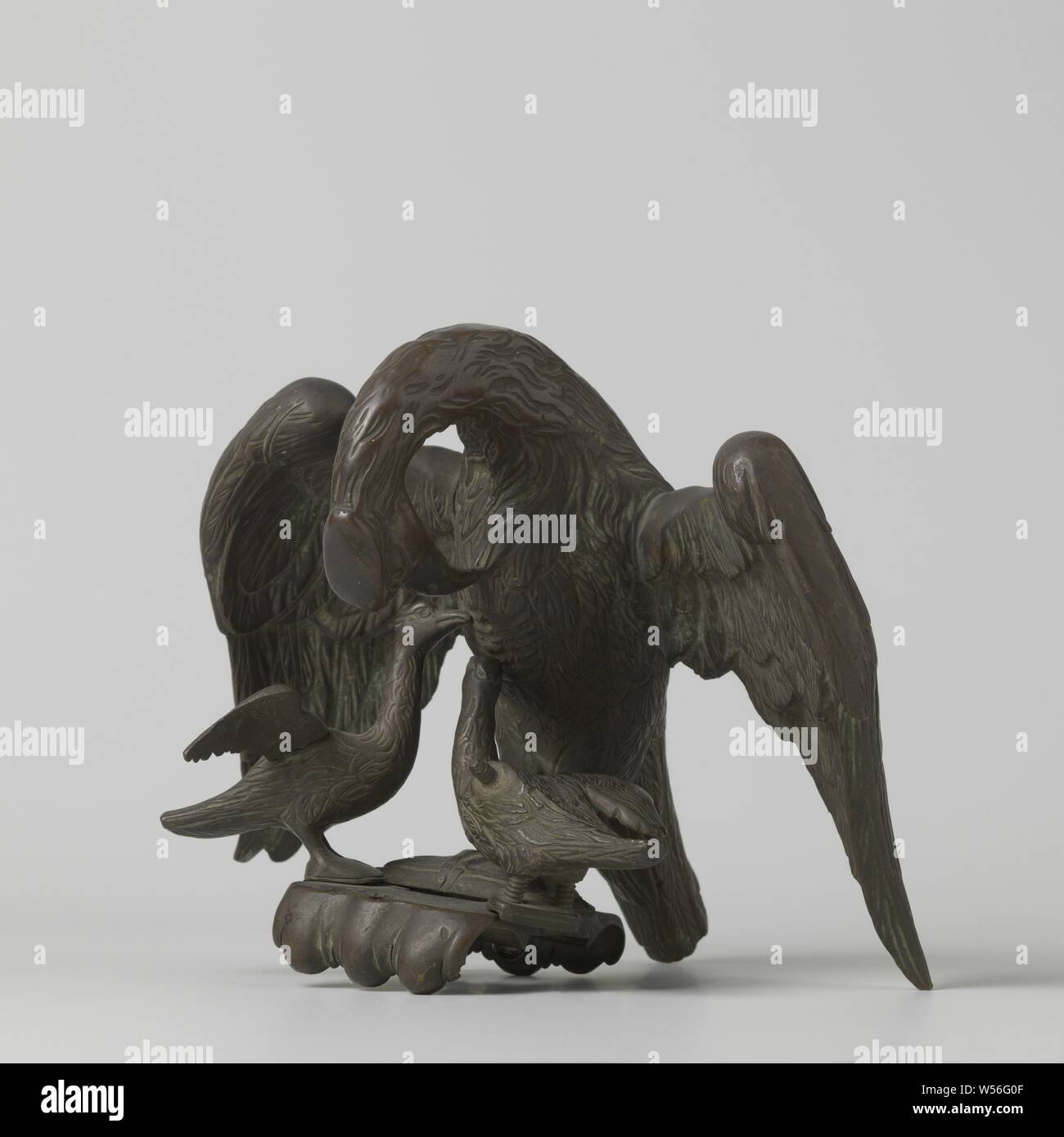 Pelicans chest hi-res stock photography and images - Alamy