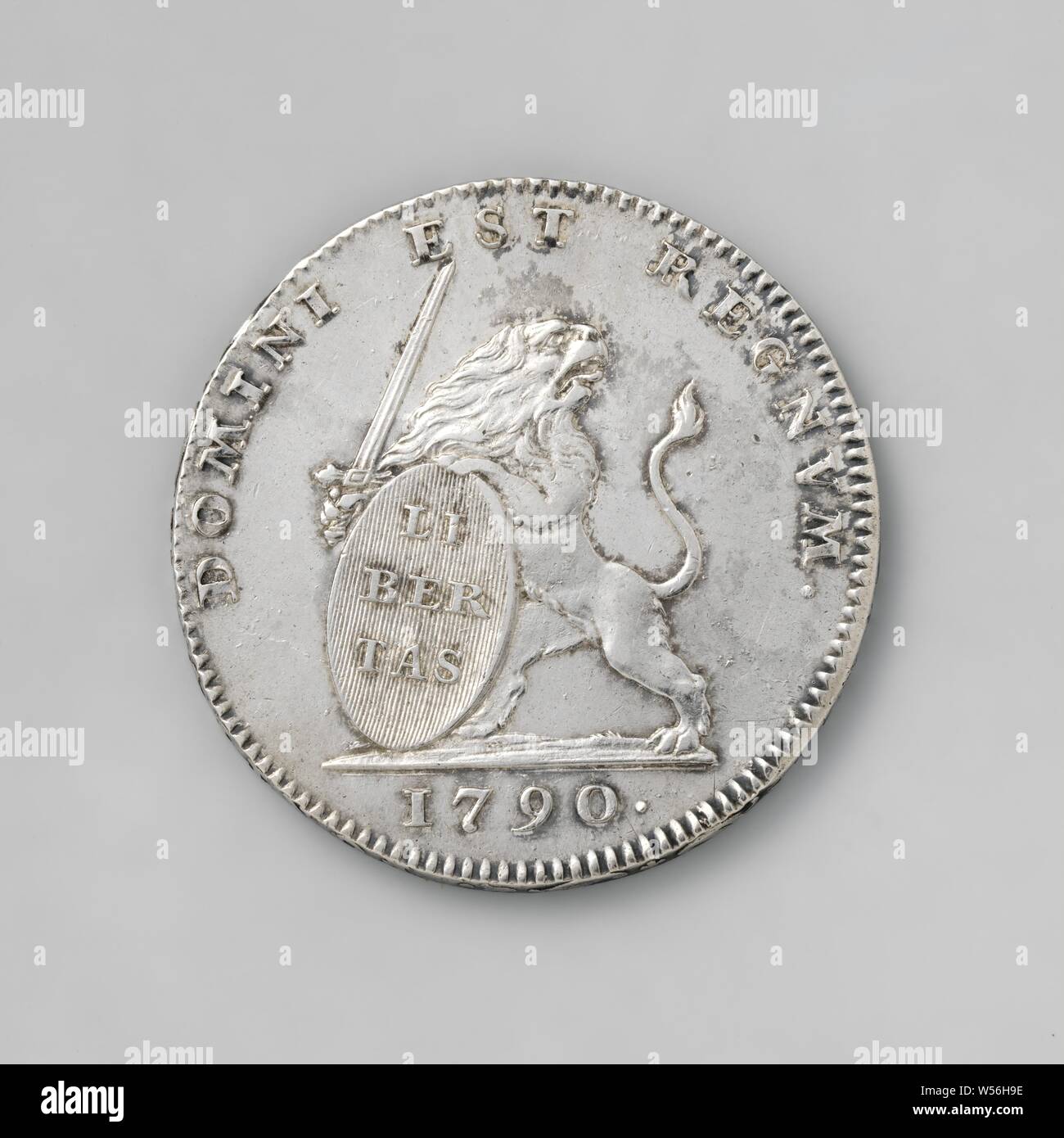 Silver lion hi-res stock photography and images - Alamy