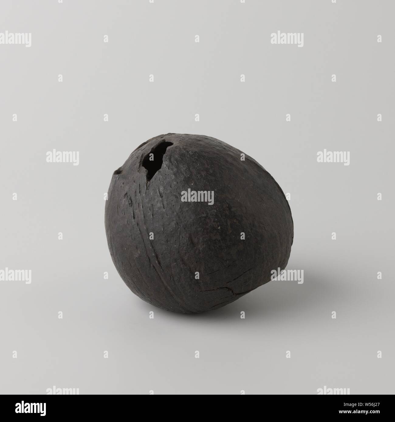 Coconut from the VOC ship the 'Witte Leeuw', Coconut from the VOC ship ...