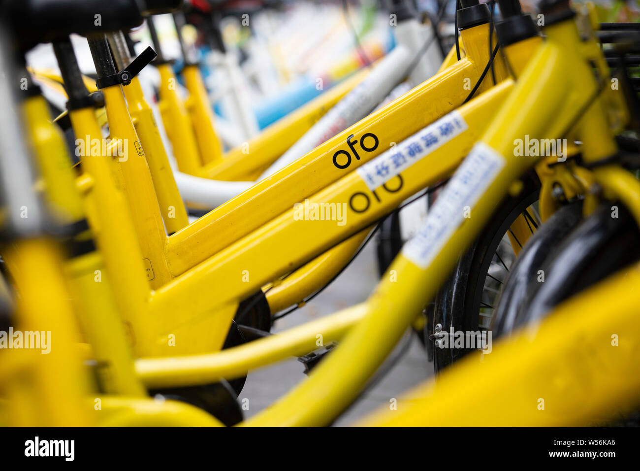 --FILE--Bicycles of Chinese bike-sharing service ofo are parked on a ...